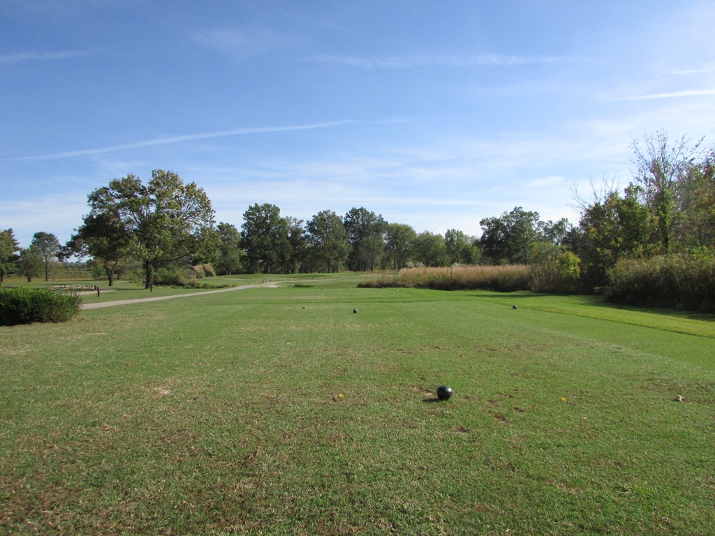 Course Info - Arlington Greens Golf Course